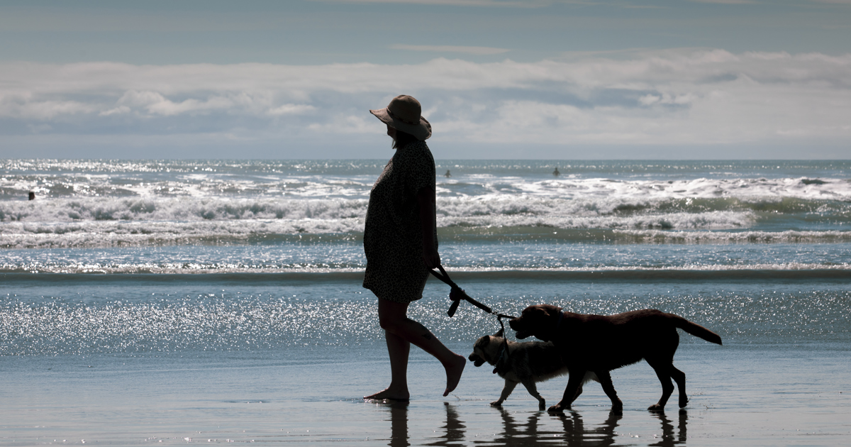 How to get more movement in your day | Christchurch Recreation and ...